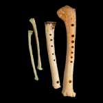 Historia de los instrumentos musicales - Pictoeduca